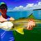 Tampa Bay Fishing Charters with Local Guide - Captain Dustin